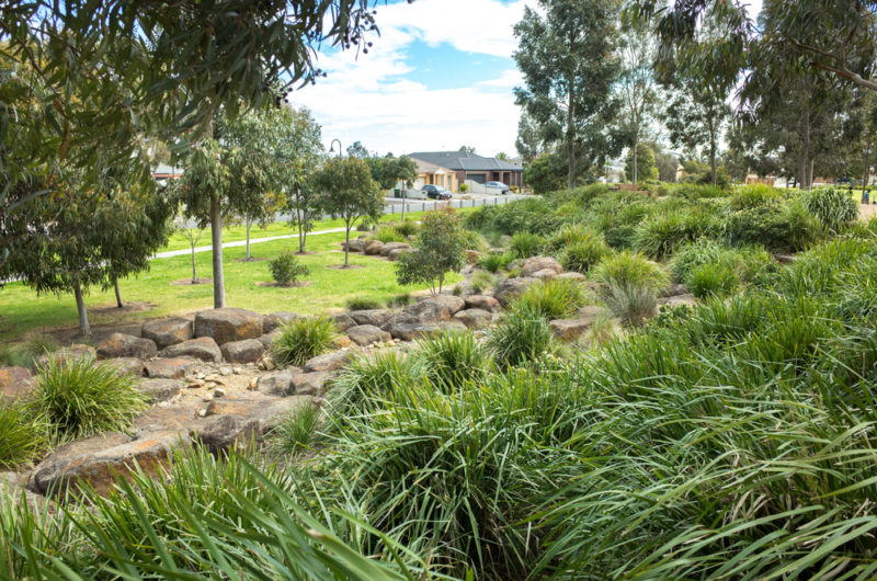 View,Of,A,Landscaped,Suburban,Park,With,Footpath,,Rocks,,Eucalyptus ...